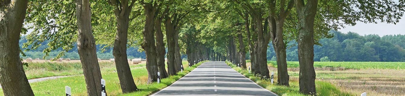 Routen: Deutsche Alleenstrasse